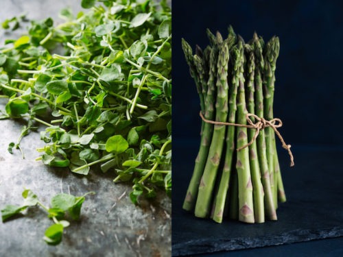 Tips on Focusing For Food Photography - Gastrostoria